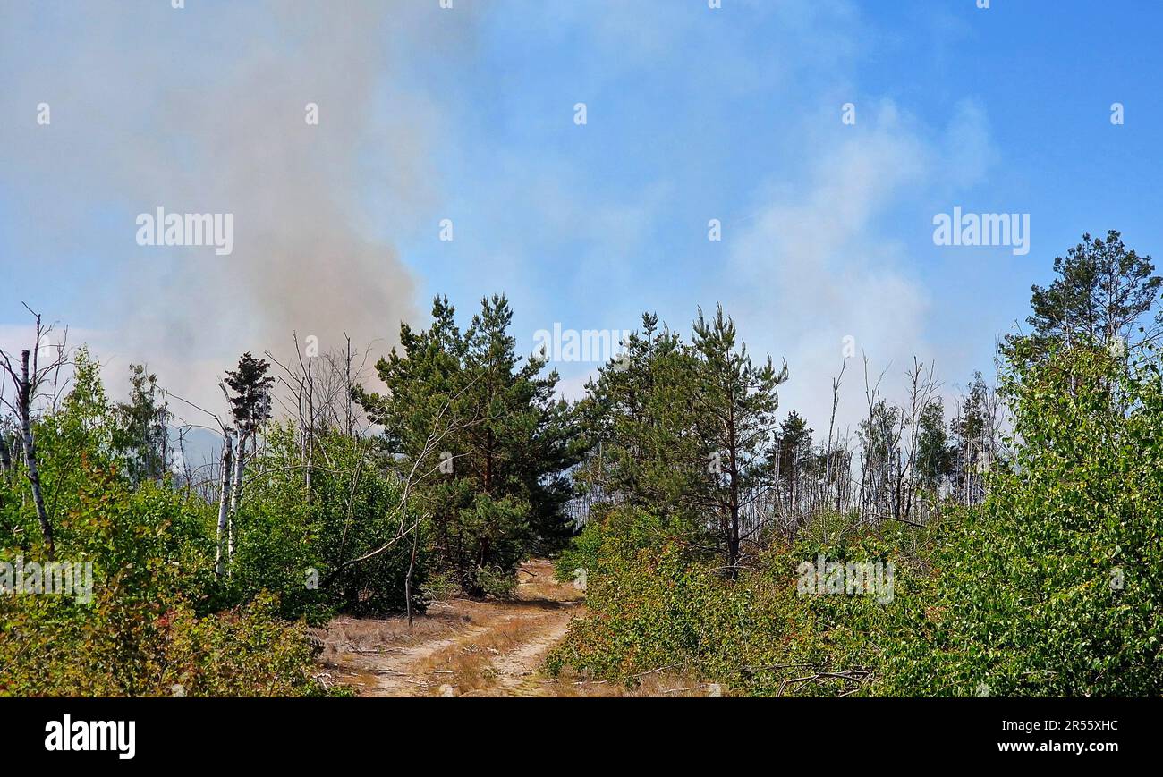 Forest contaminated smoke from fire hi-res stock photography and images ...