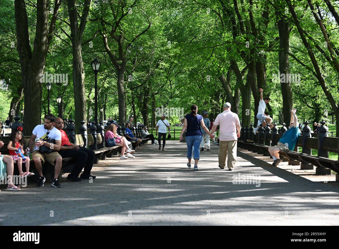 People relax on the benches in The Mall section of Central Park, New ...