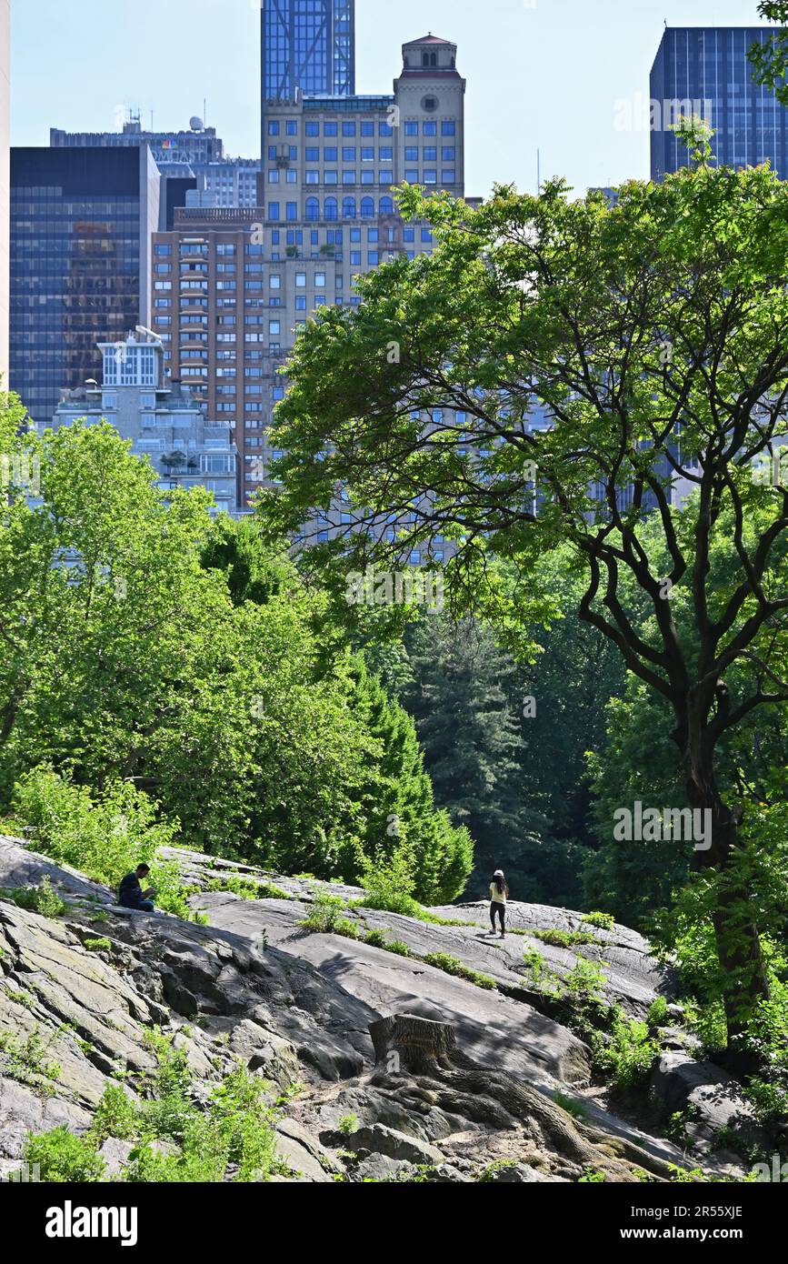 One of many rock formations in Central Park with the New York skyline ...