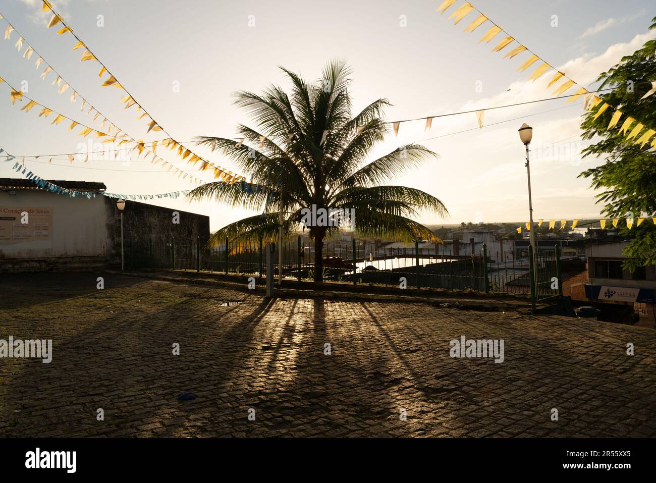 Valenca, Bahia, Brazil - June 22, 2022: Backlight from a tree and ...