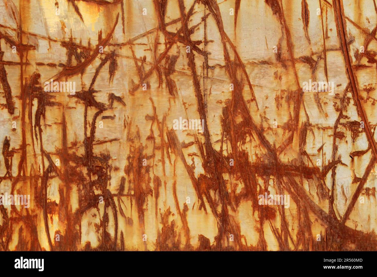 A red brown abstraction of scratched rusty lines and textures on an old ...