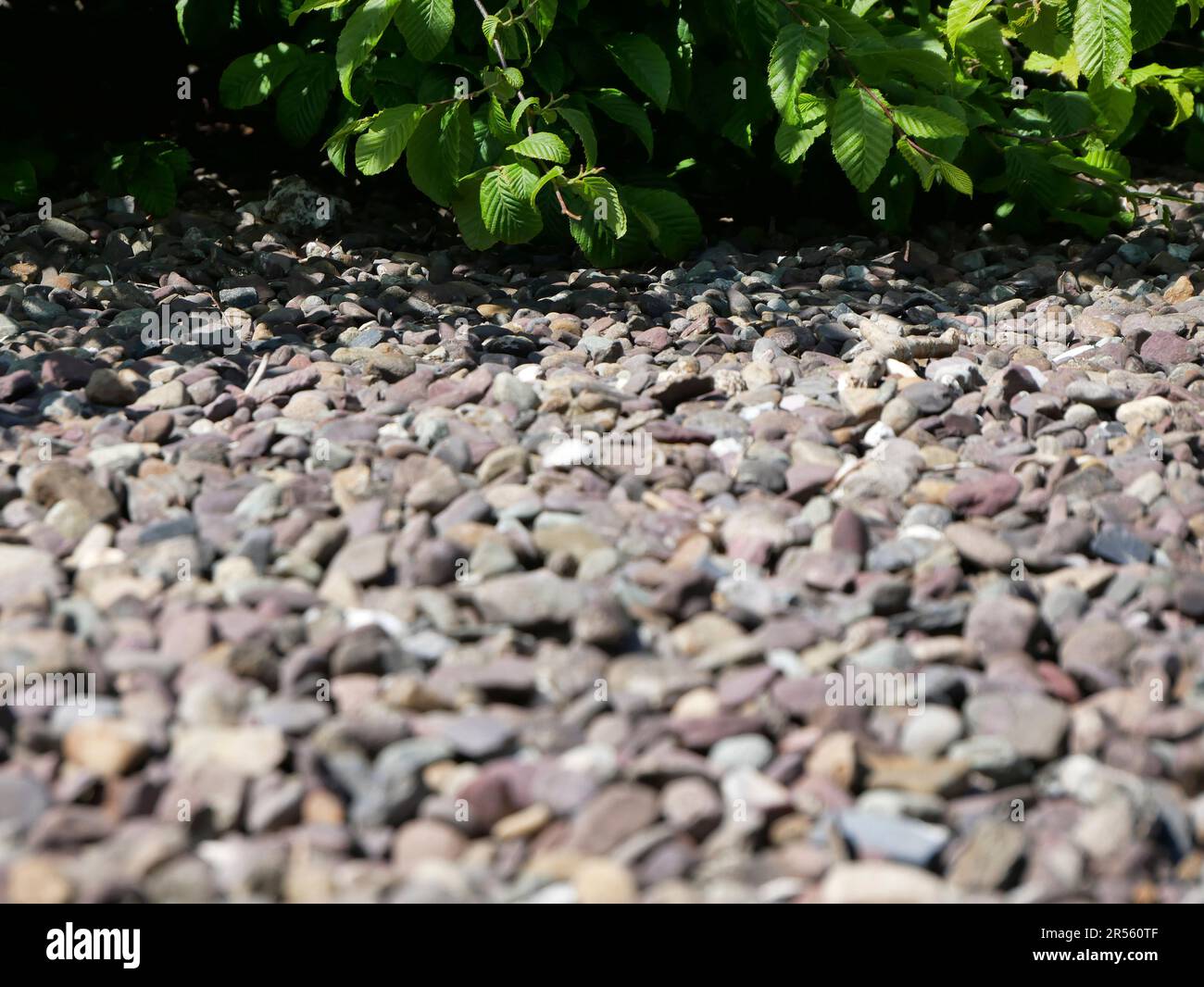 Stone ground pattern, natural stone texture, ground pavement background ...