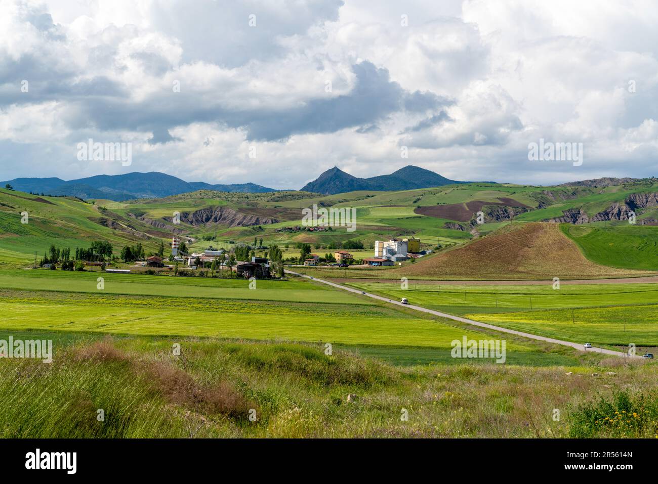 Panoramic view of green crops in a hilly field and mountain in the ...