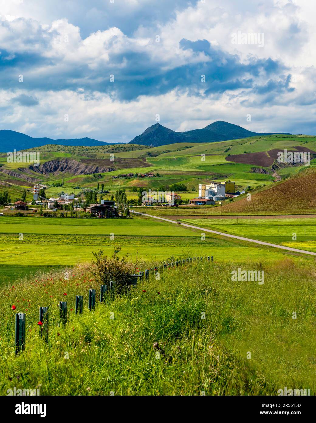 Vertical view of green crops in a hilly field and mountain in the ...