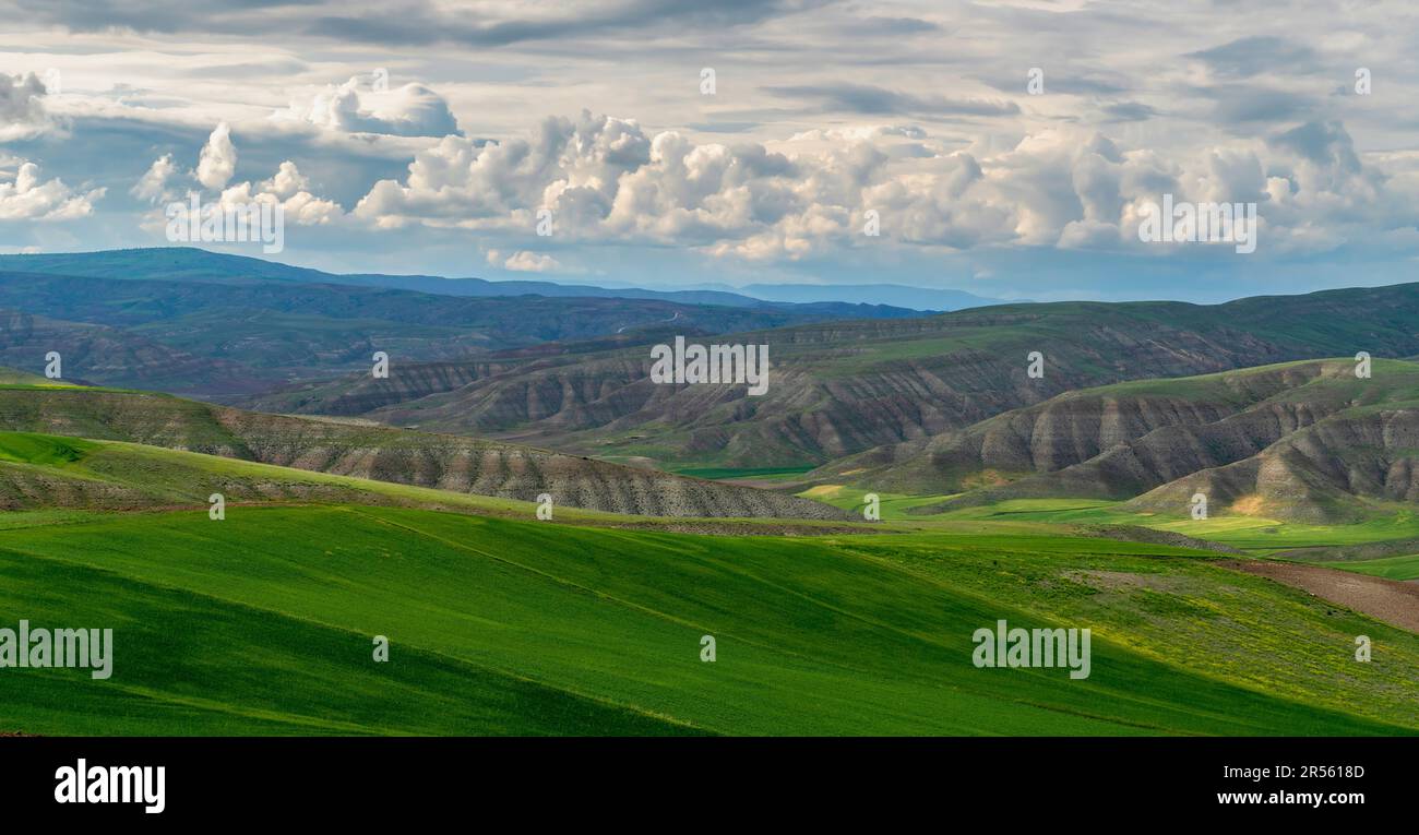 Farming on eroded soils and green crops and fallow lands in central ...
