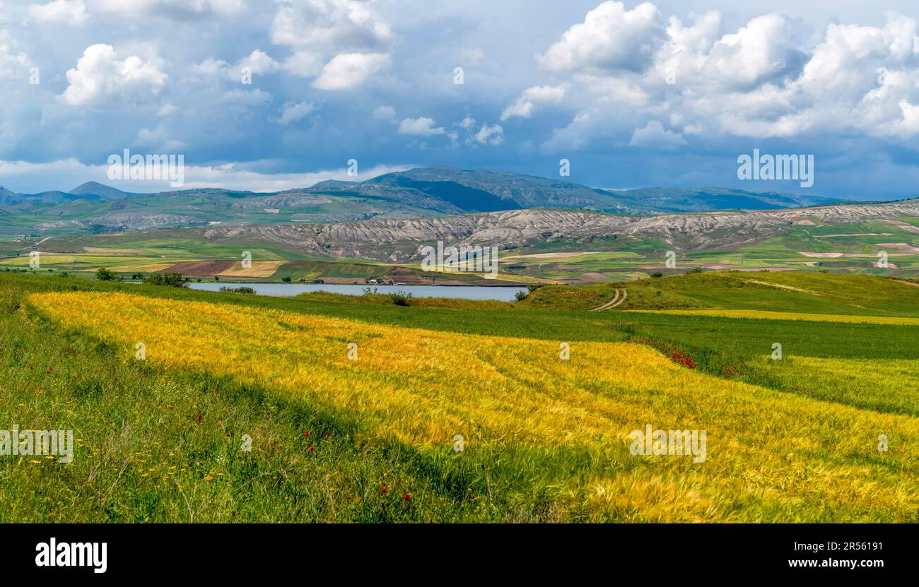 Panoramic and close view of the nature around Red River (Kizilirmak in ...