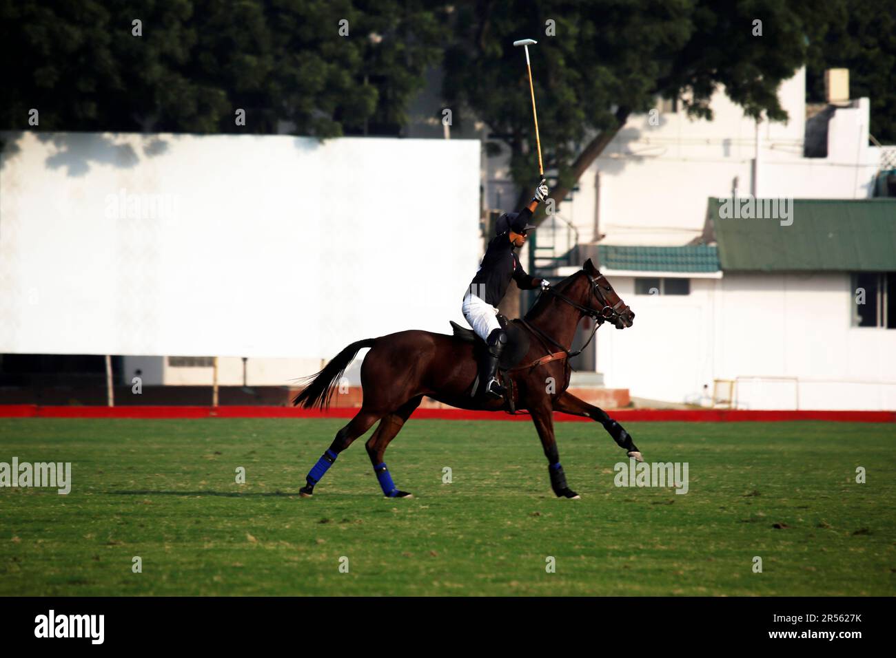 Man playing polo, New Delhi, India Stock Photo - Alamy
