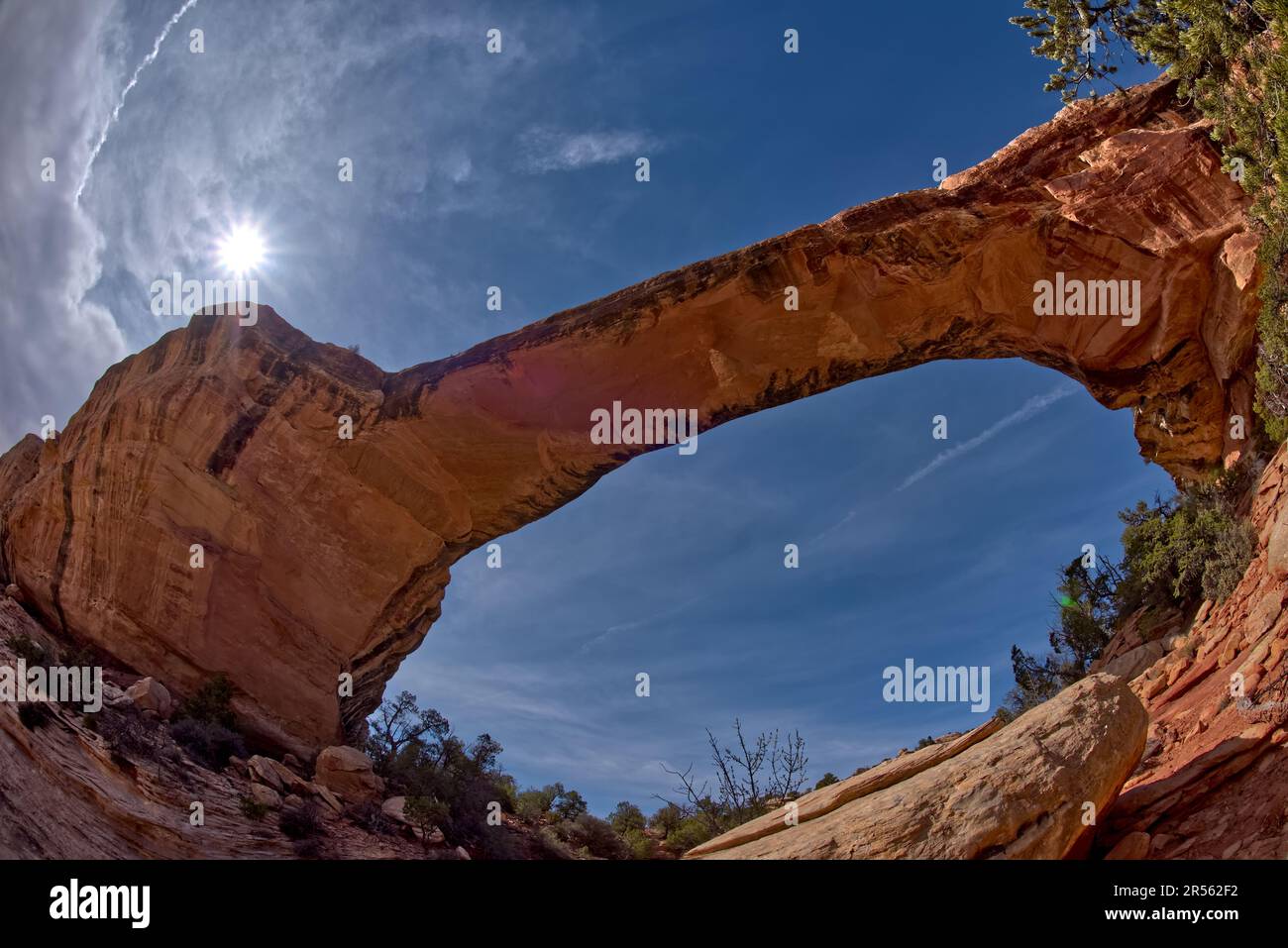 Owachomo Bridge Arch, Natural Bridges National Monument, San Juan ...