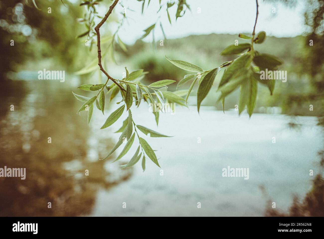 Hanging by the edge hi-res stock photography and images - Alamy