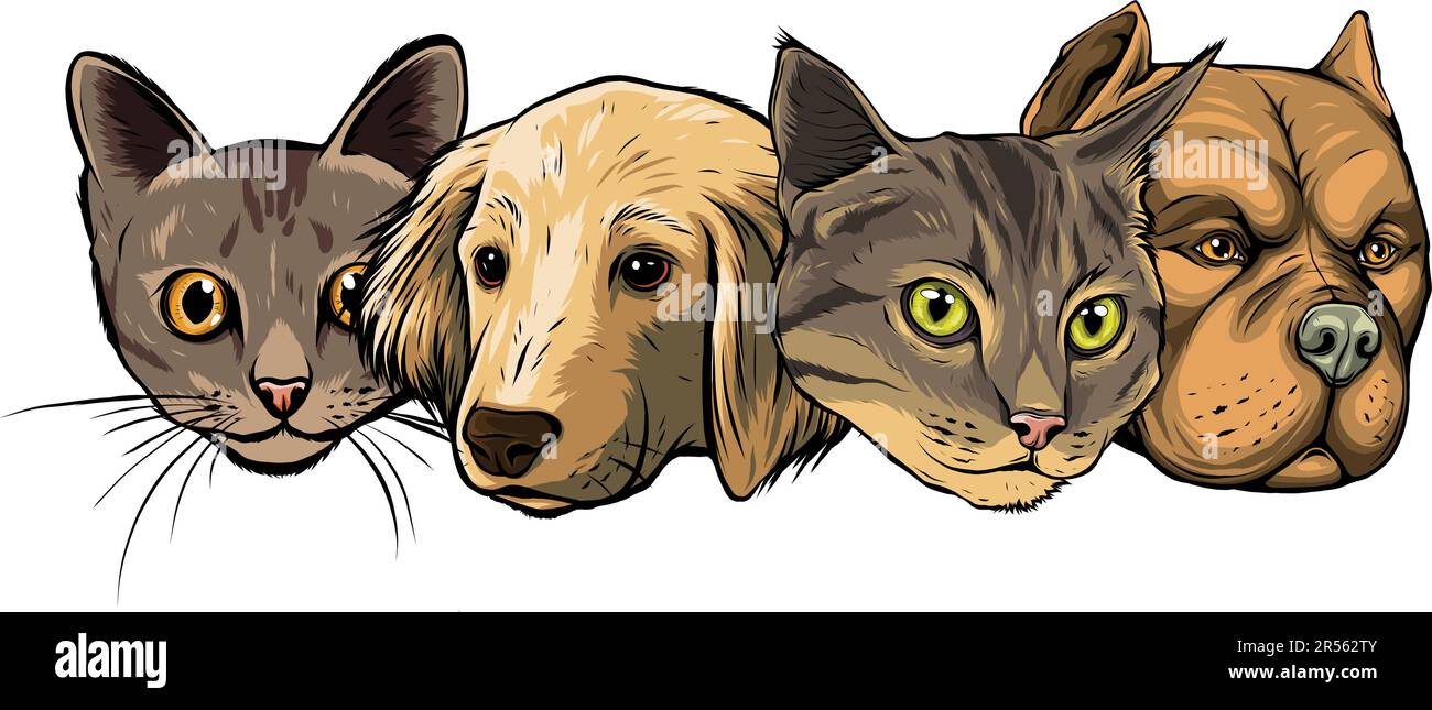 vector illustration of dog and cats pets on white background Stock ...