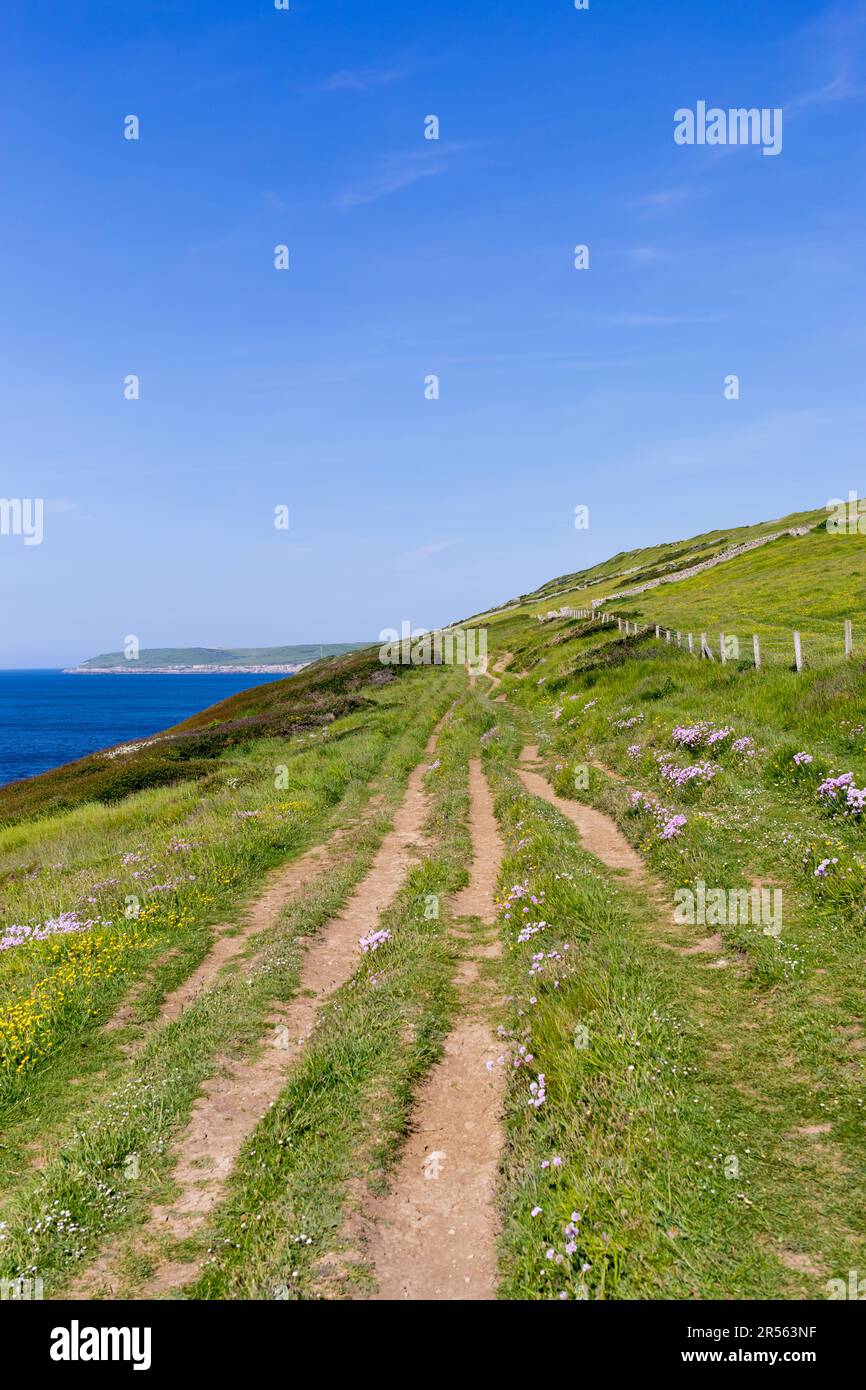 South coast pathway hi-res stock photography and images - Alamy