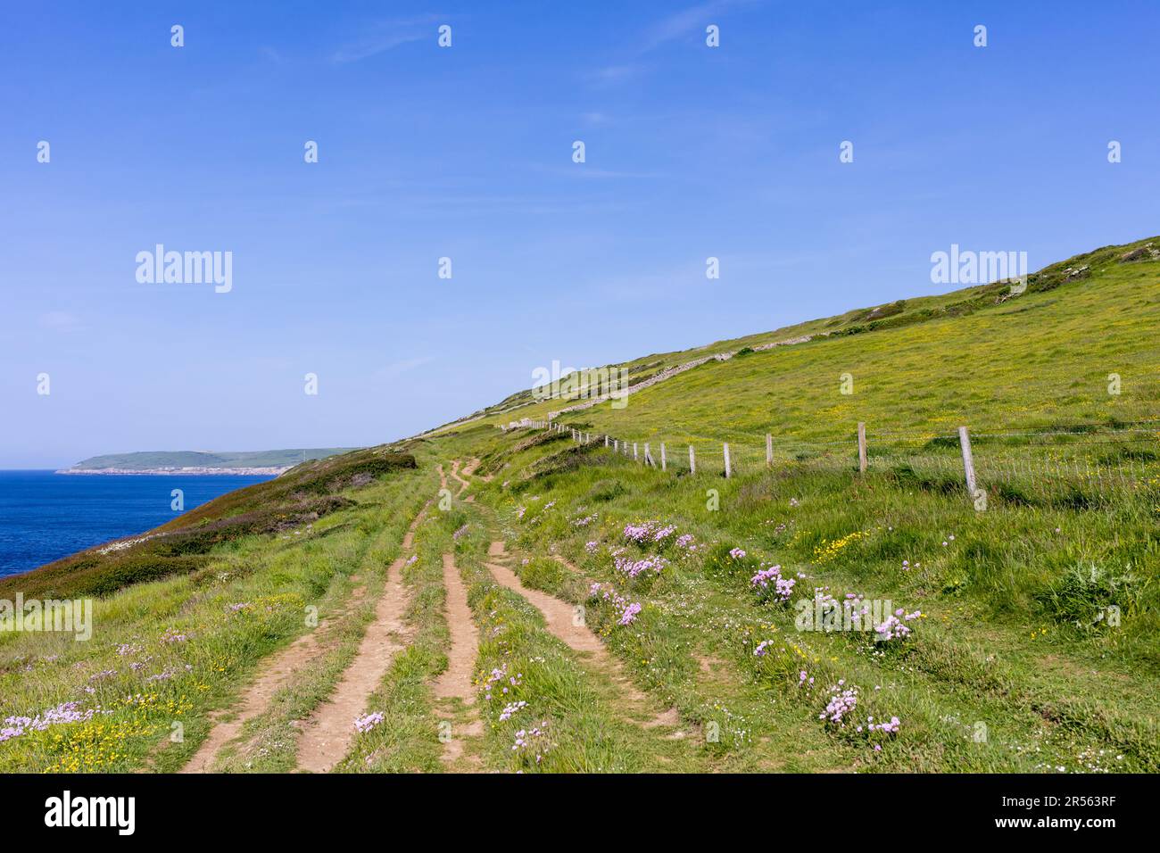 South West Coastal Path leading to Dancing Ledge from Anvil Point ...