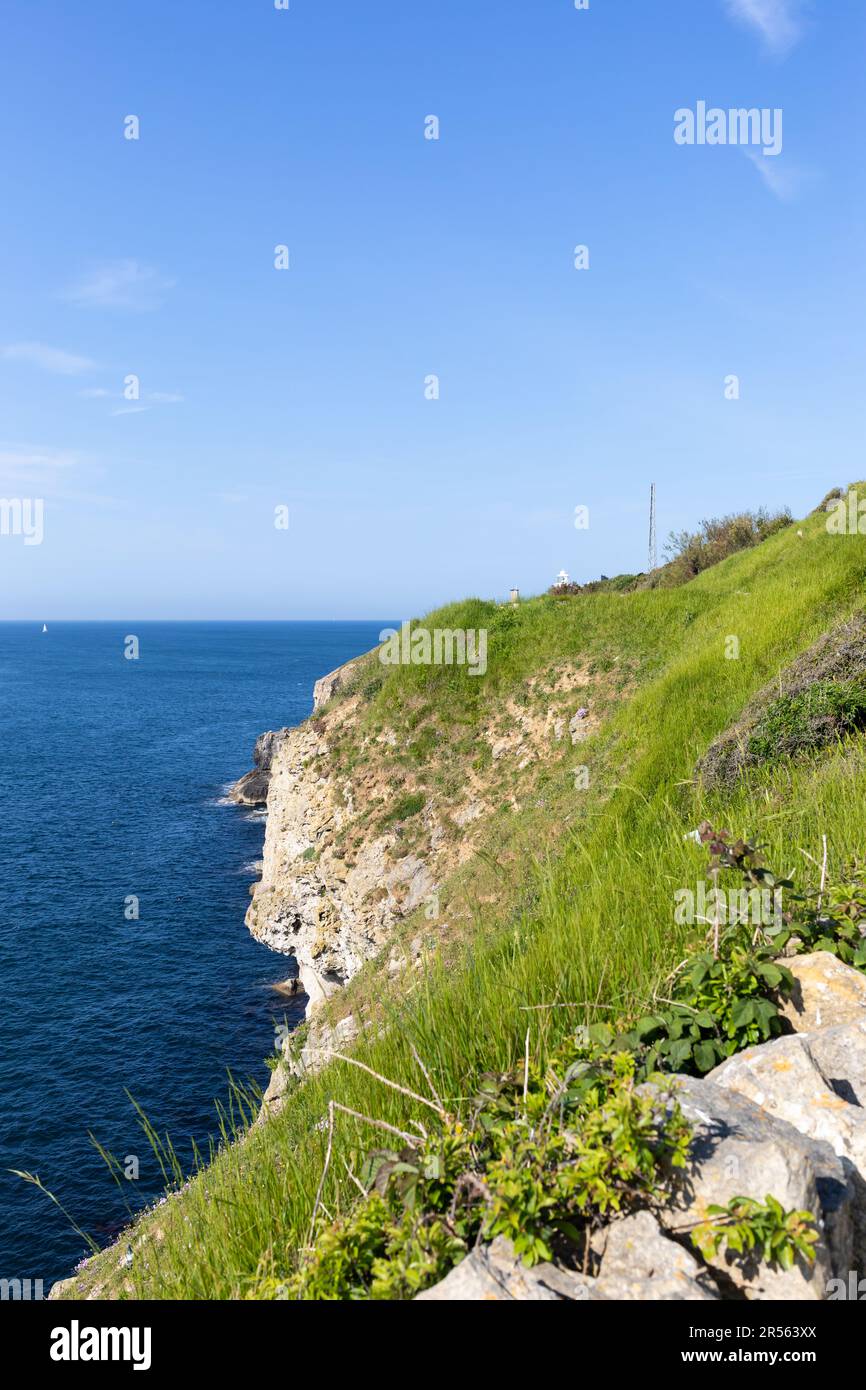 View of the sea and cliffs looking south west on the Jurassic Coast at ...