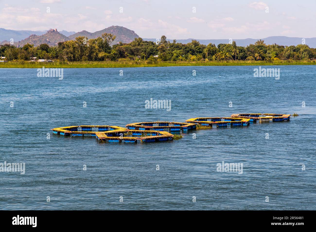 View of the Shire River from Bakili Muluzi Bridge in Mangochi, Malawi ...