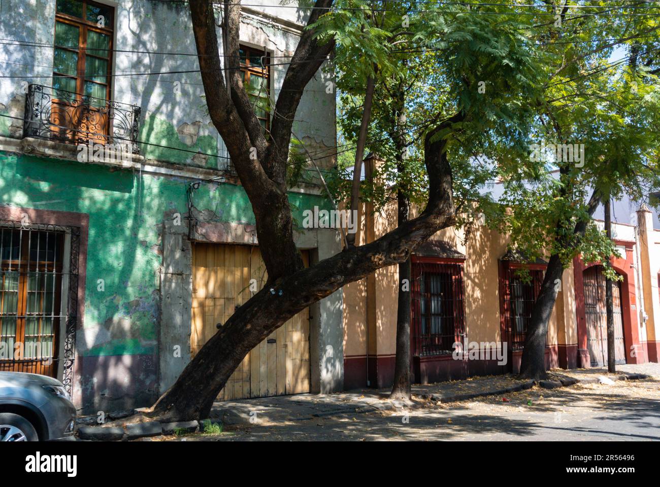 Colorful coyoacan hi-res stock photography and images - Alamy