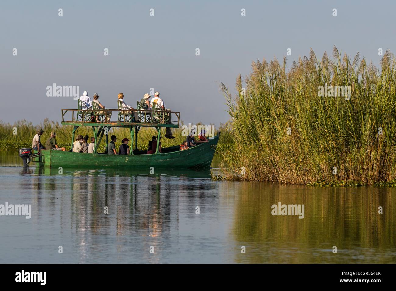 Guided boat tour across the Shire River. Evening atmosphere on the ...