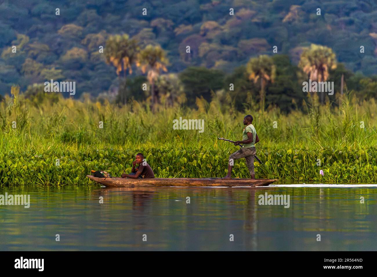Fisherman in a dugout canoe on the Shire River in the evening. Liwonde ...