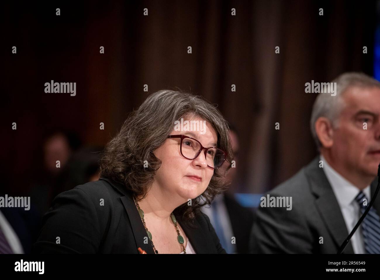 Washington, United States Of America. 31st May, 2023. Thea D. Rozman ...