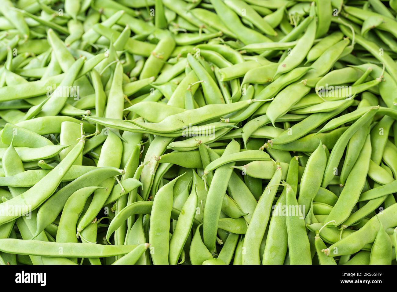 Flat pods of snow pea for sale on a farmer market, green vegetable ...