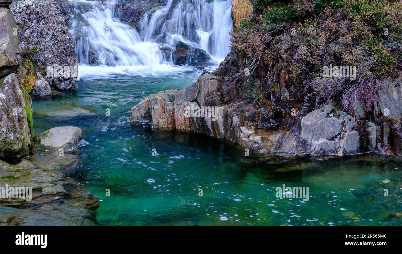 Hafod forest hi-res stock photography and images - Alamy