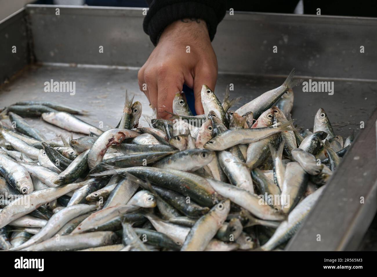 Hand of a fisherman taking fish for sale from a vessel full of fresh ...