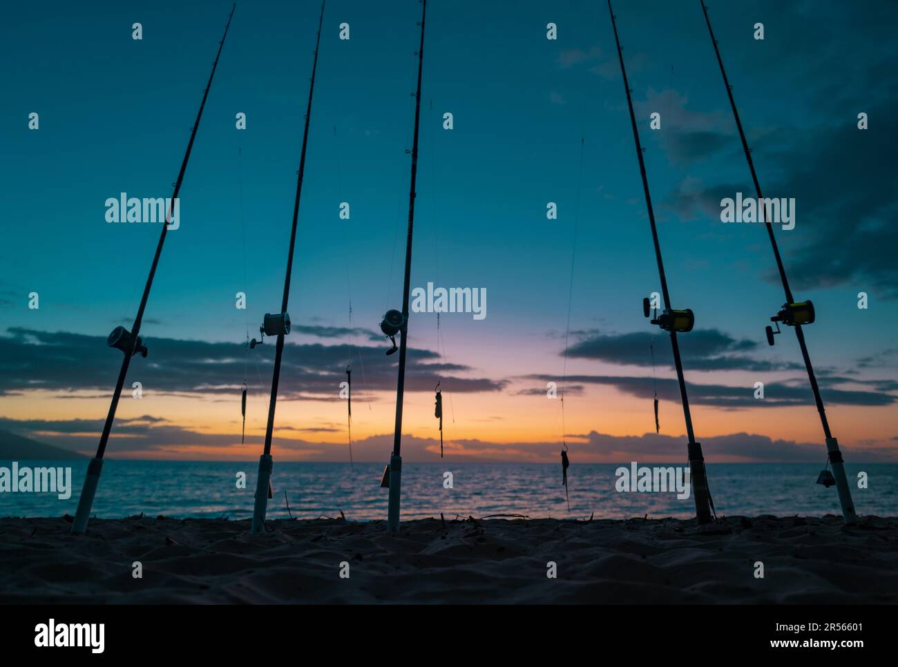 Fishing rods held in fishing rod holders. The rods are bent from the ...