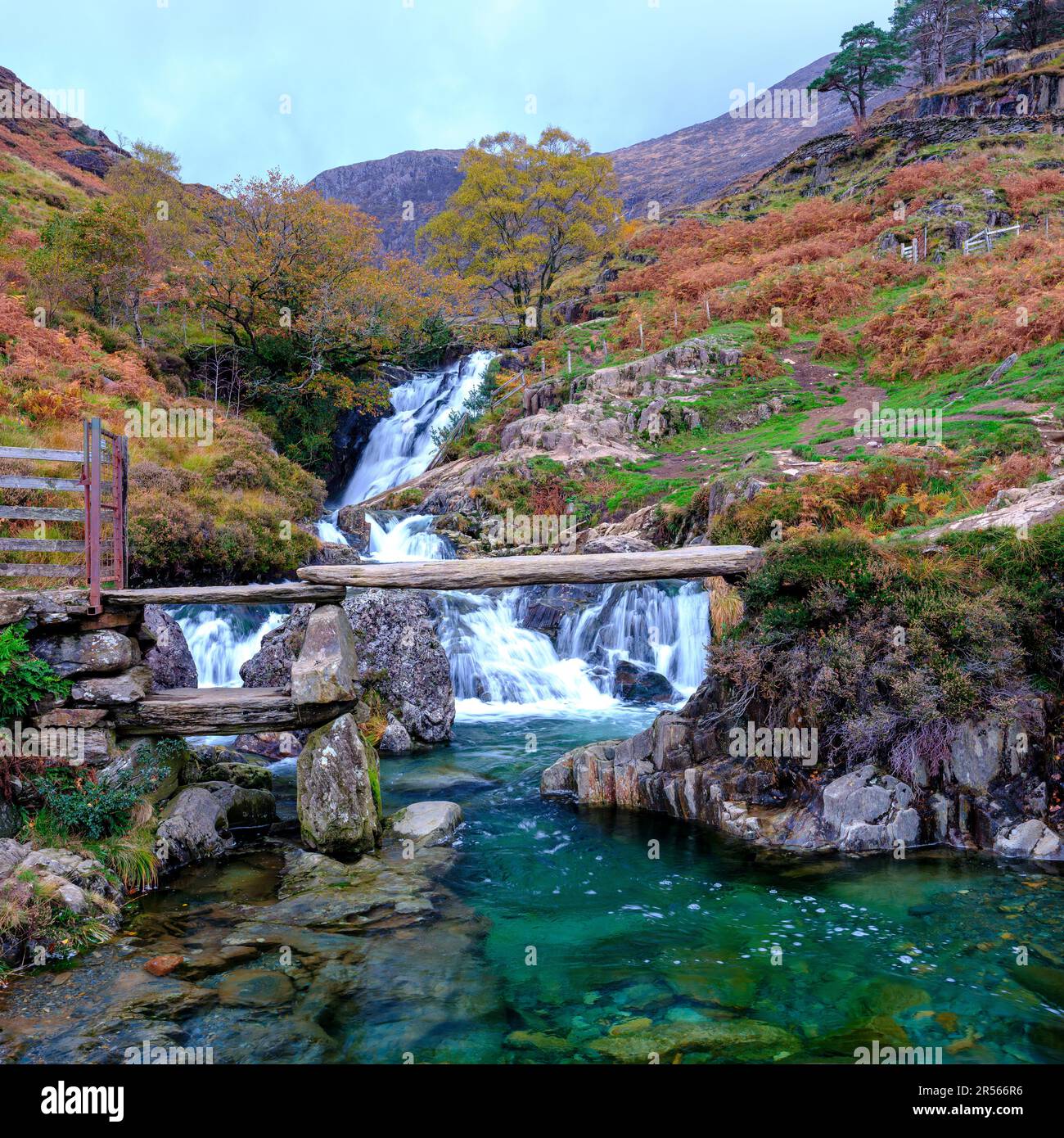 Snowdonia, Wales - November 1, 2022: The waterfalls above Hafod-y-llan ...