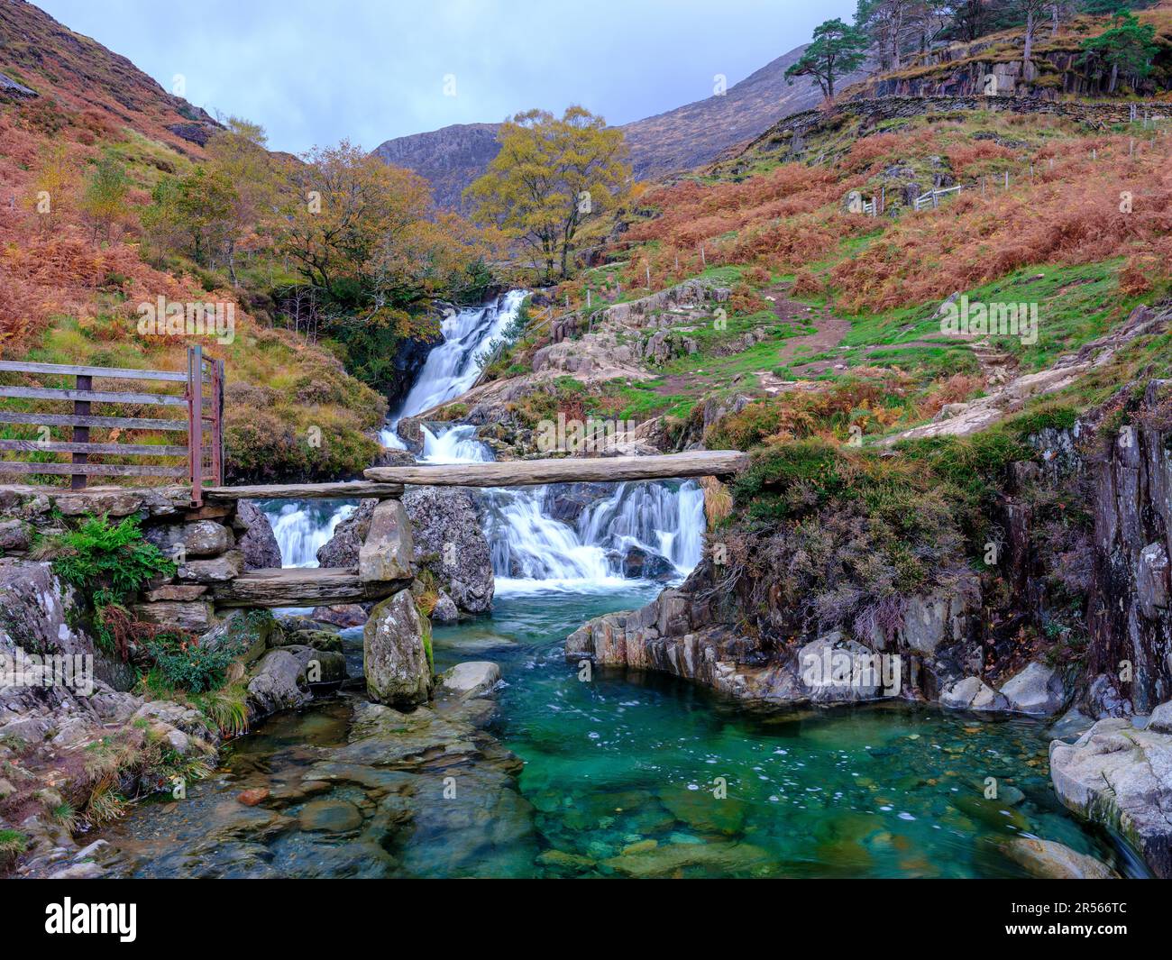 Hafod forest wales hi-res stock photography and images - Alamy