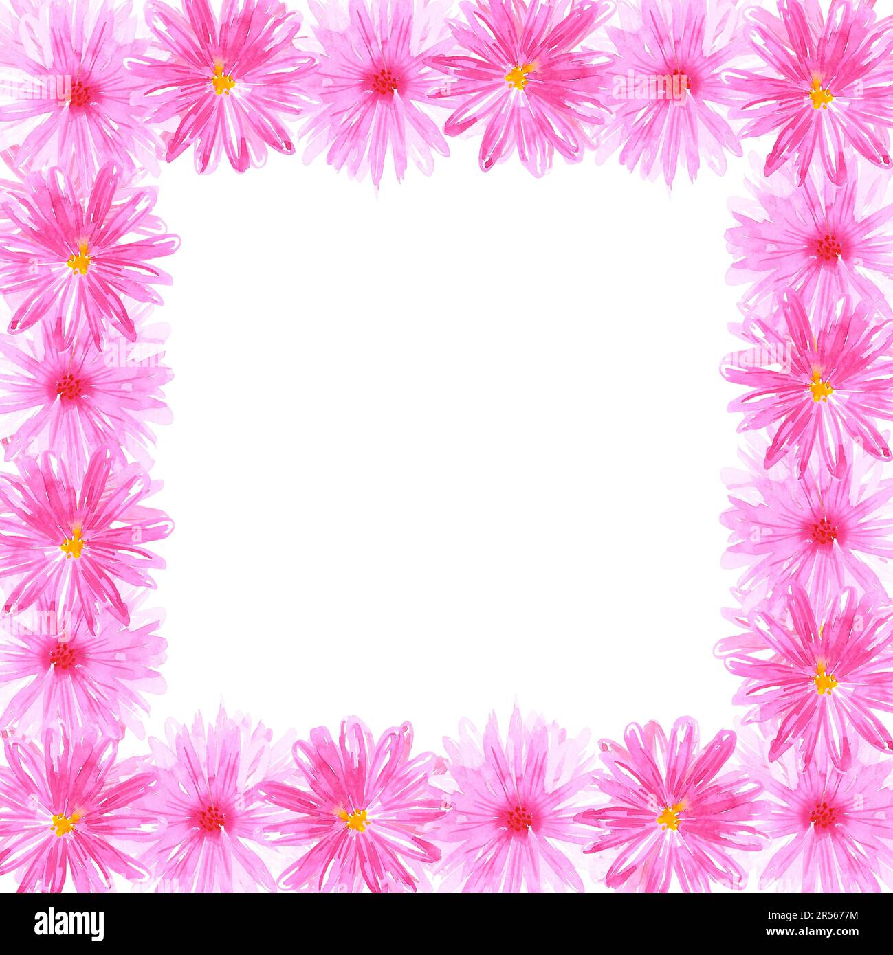Hand drawn watercolor pink daisy flower frame. Isolated on white ...