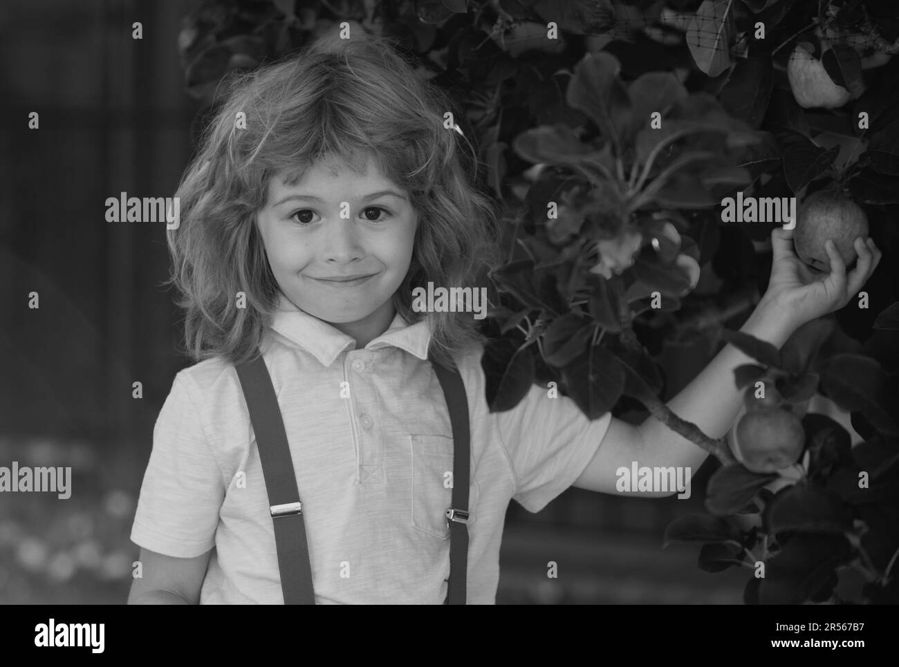 Kids picking apple tree Black and White Stock Photos & Images - Alamy