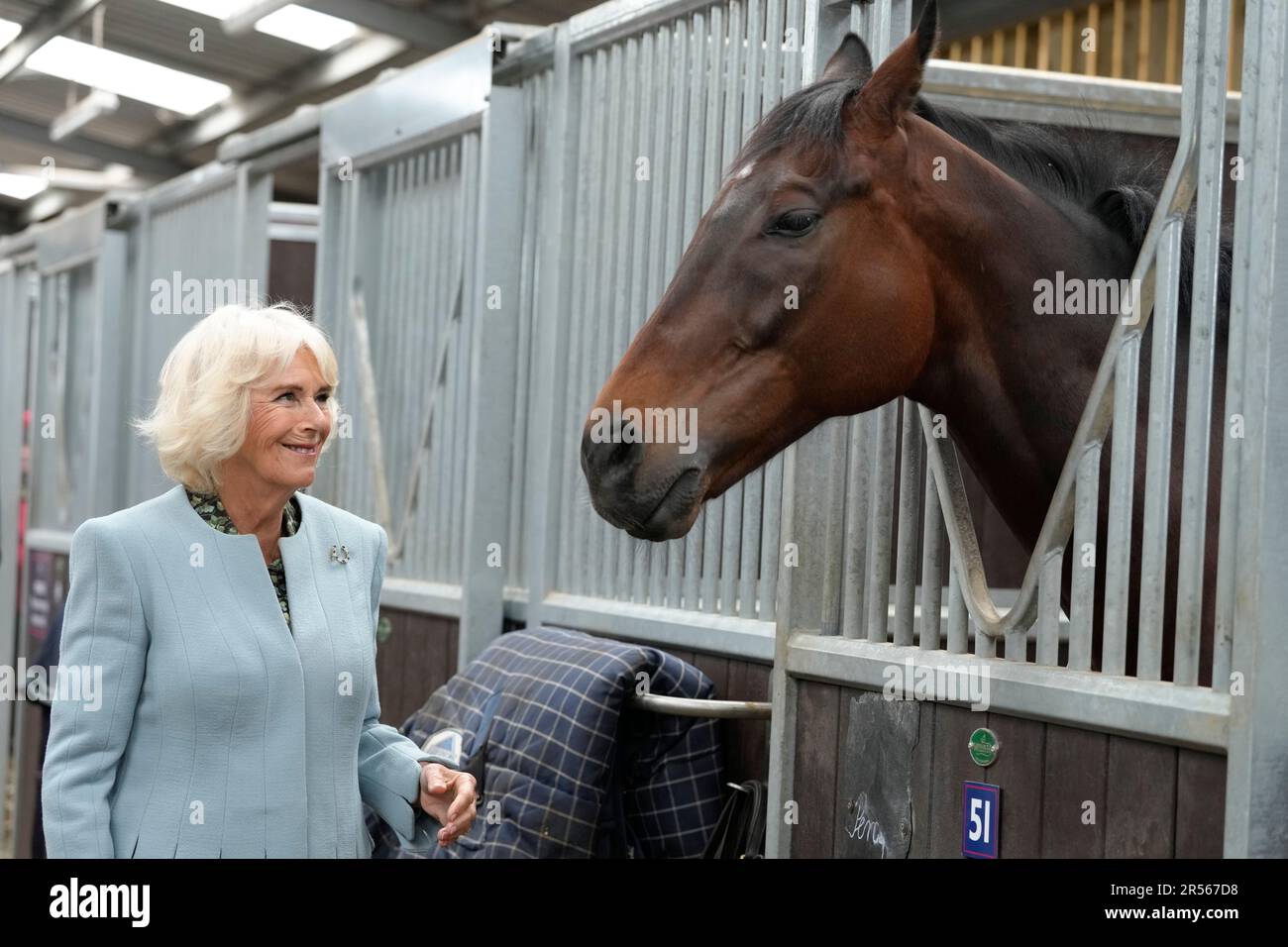 Britain's Queen Camilla meets former racing horse Percy Toplis during a ...