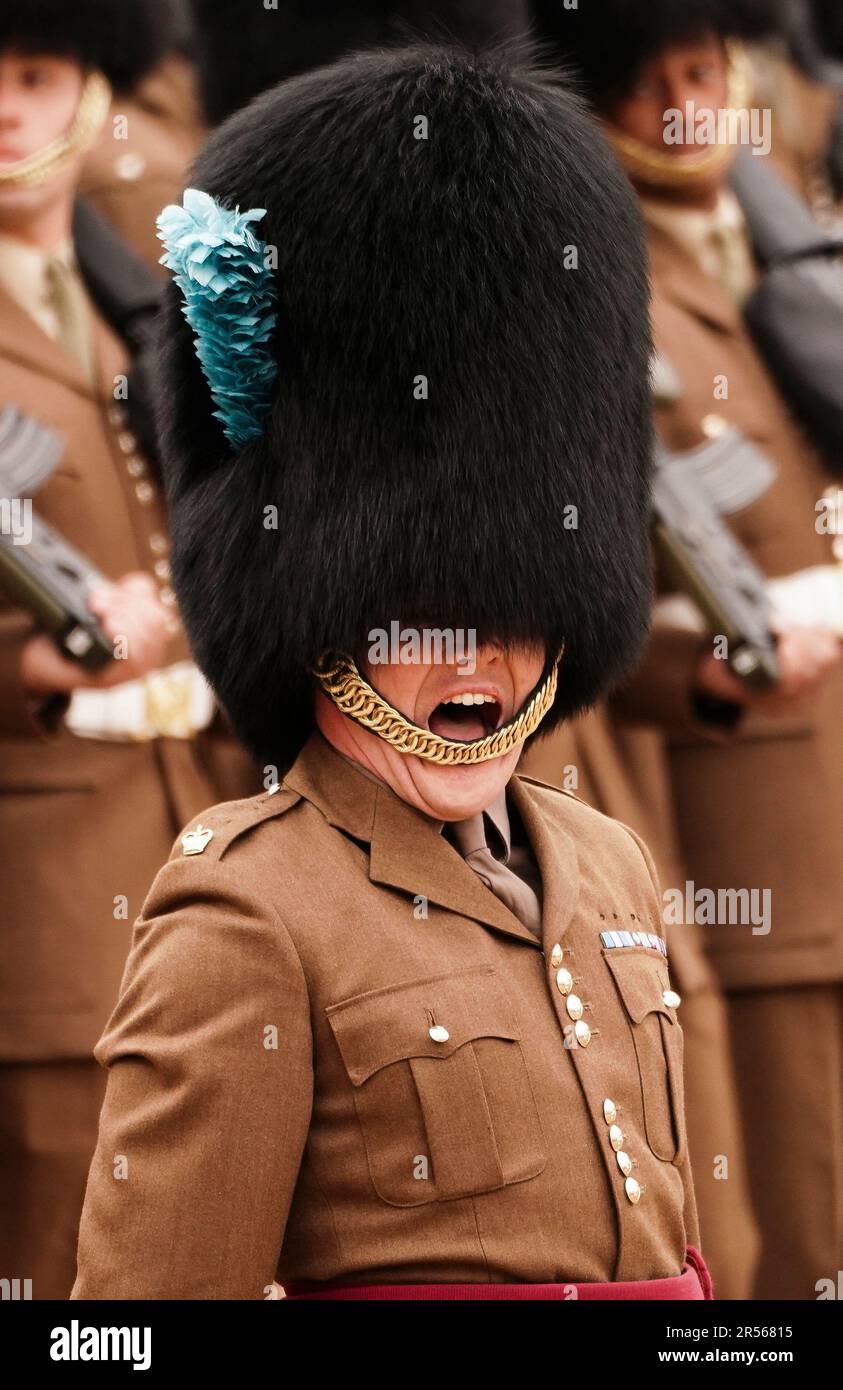 Troops of the Household Cavalry during the Brigade Major's Review, the ...