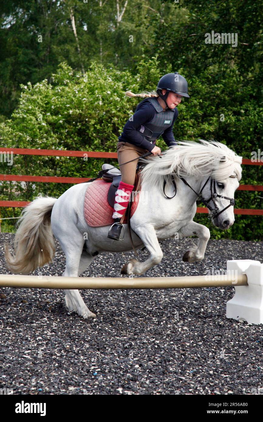 A little girl jumping with a horse on a horse paddock Stock Photo - Alamy