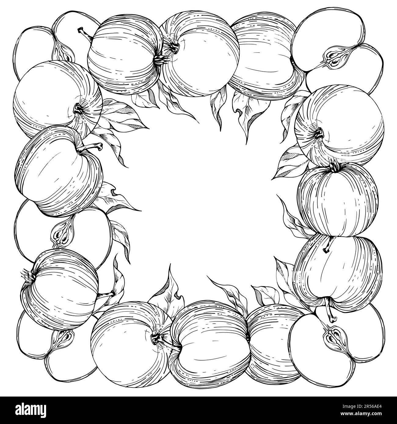 Hand drawn ink apple fruits, ripe full and slices, monochrome vector ...