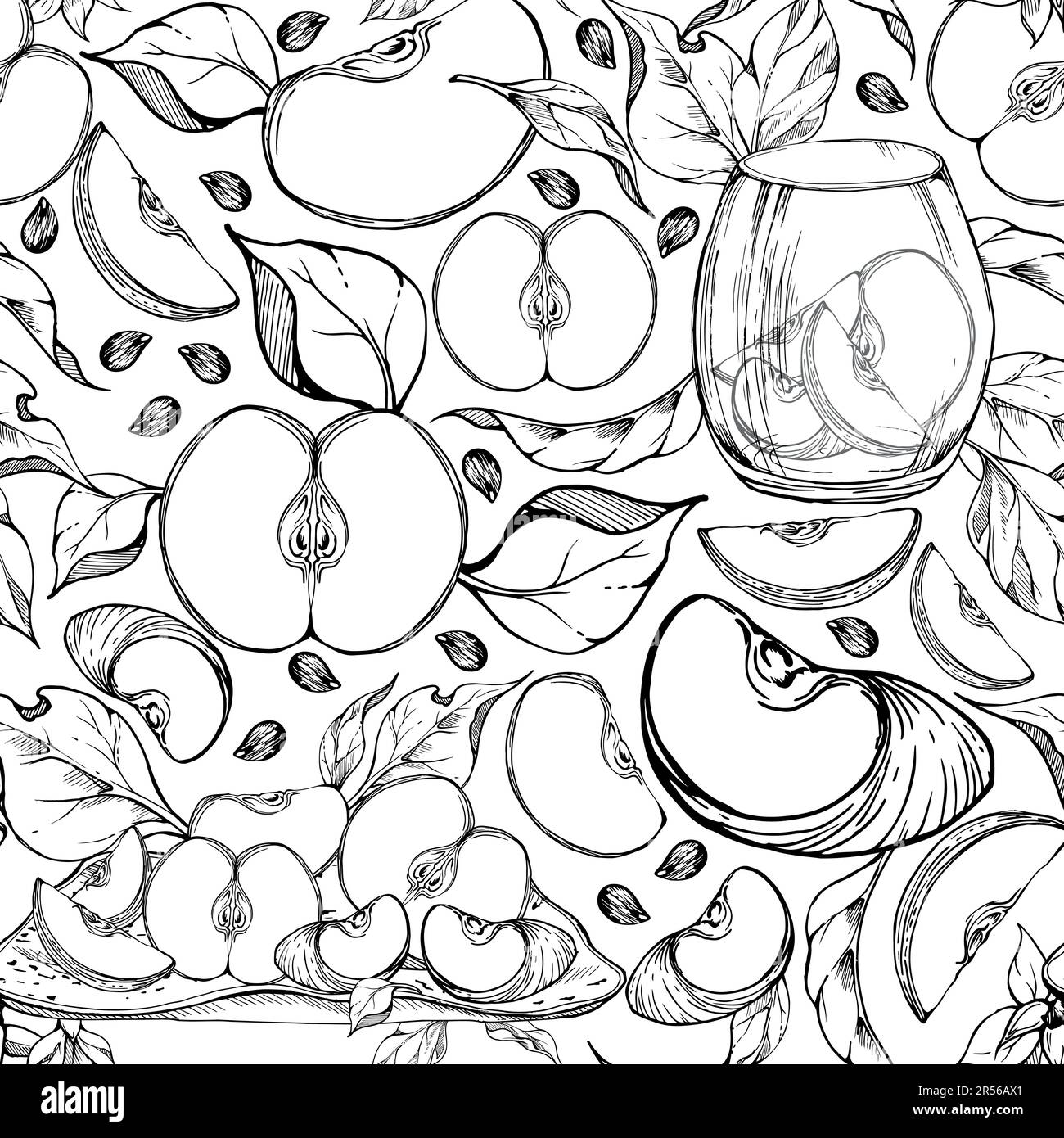 Hand drawn ink apple fruits, ripe, full and slices monochrome vector ...