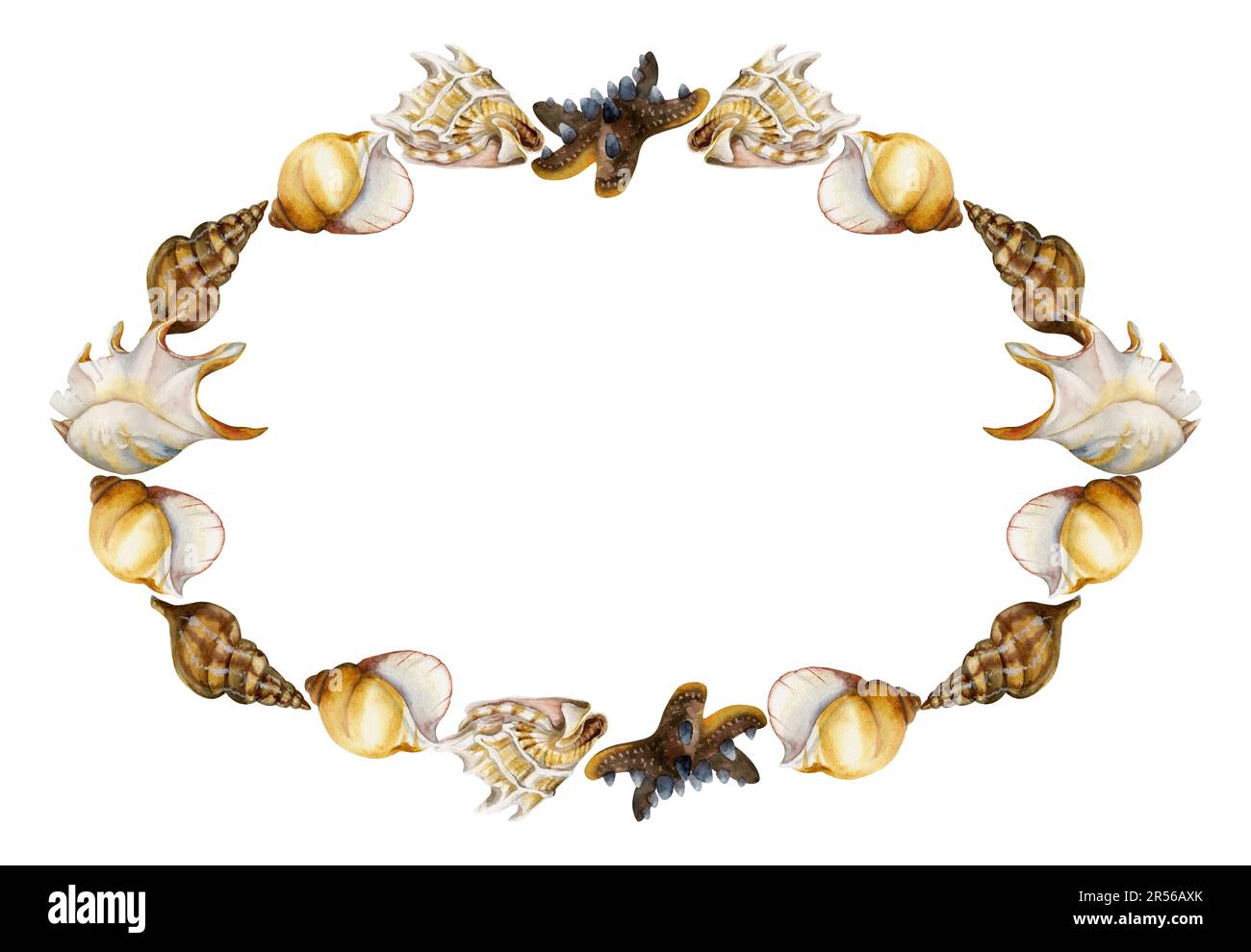 Hand drawn watercolor exotic sea shells and colorful glass, starfish ...