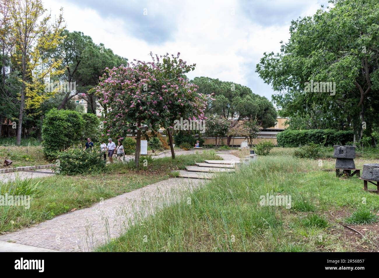 The Neapolis Archaeological Park Syracuse Sicily Stock Photo - Alamy