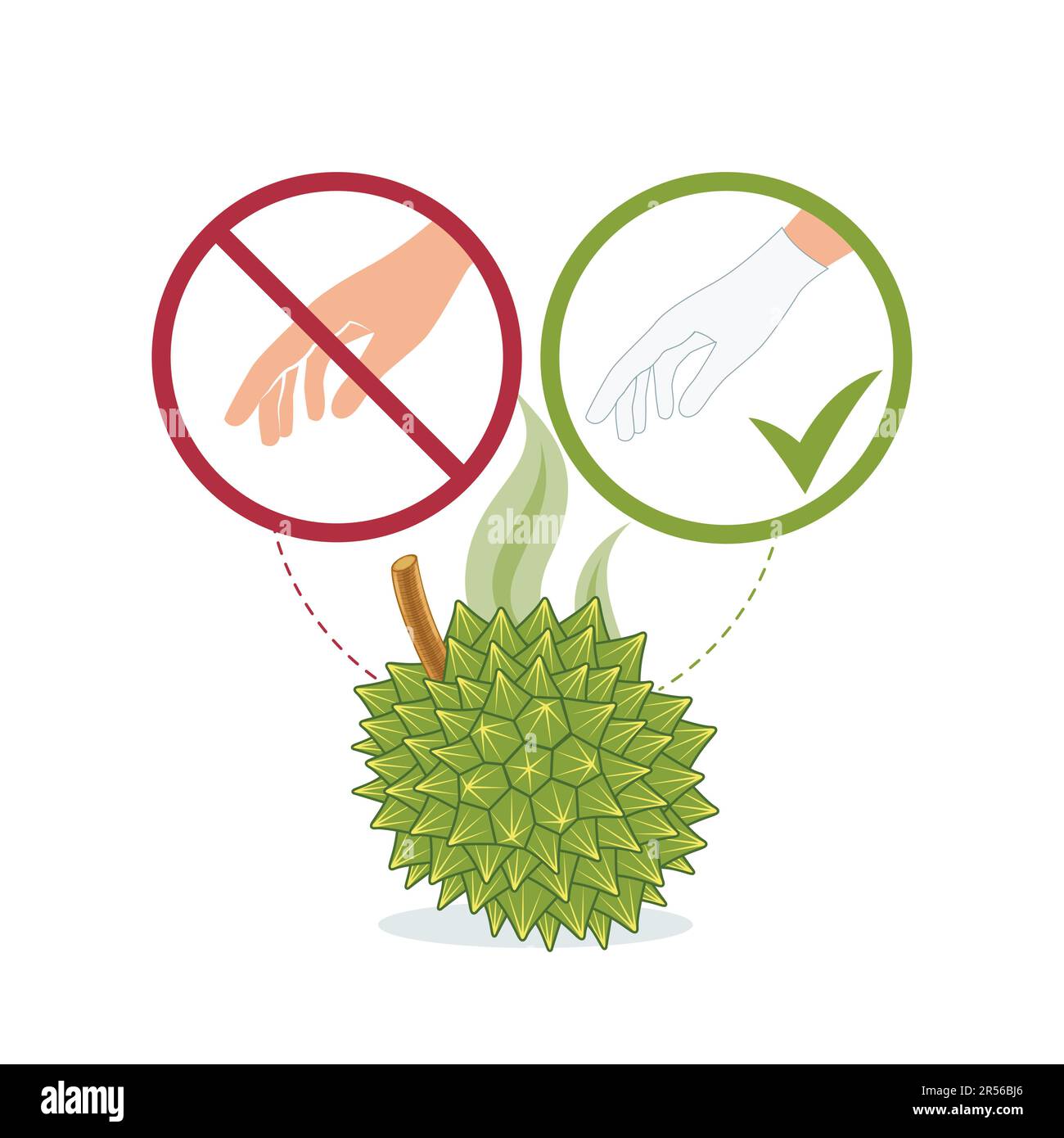 Durian sign Stock Vector Images - Alamy