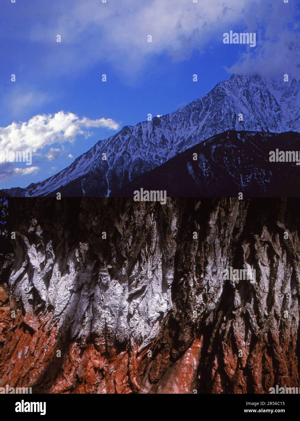 Tree and Mountain in Himalaya, Nepal Stock Photo - Alamy