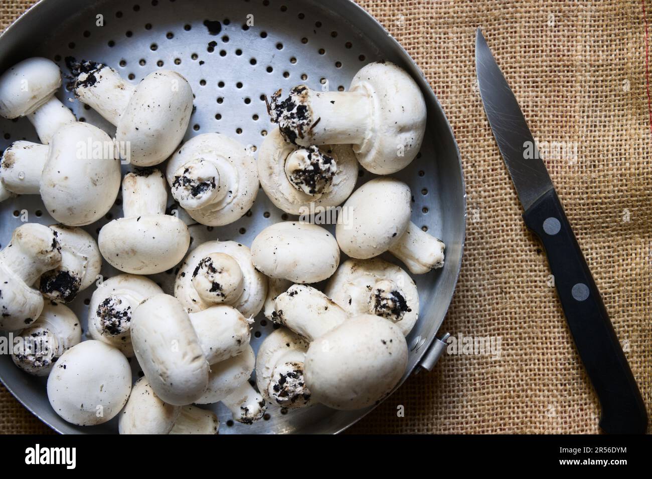 View from above of a bunch of raw and uncleaned mushrooms in an old ...