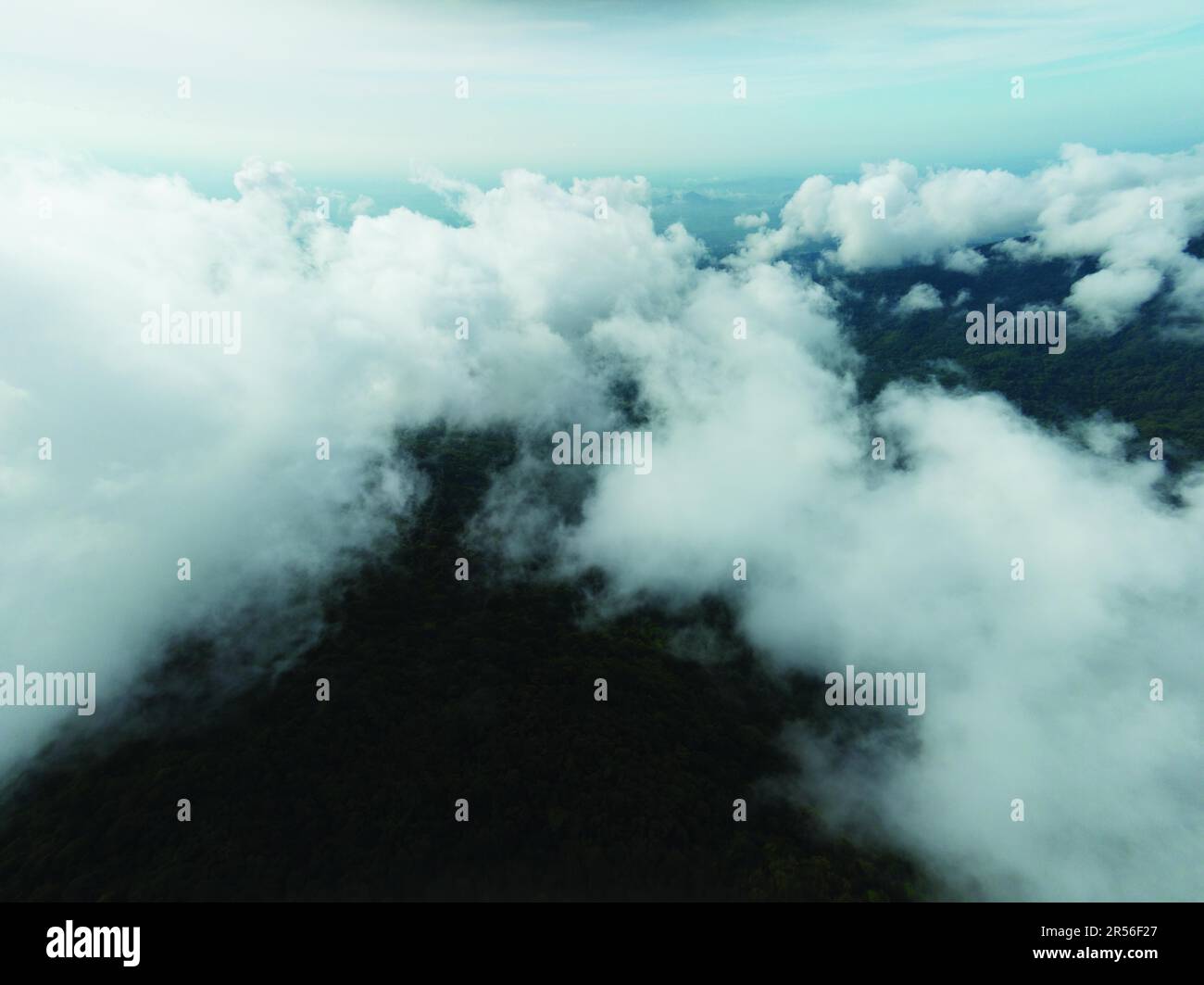 Aerial view of flowing fog waves on mountain tropical rainforest,Bird ...
