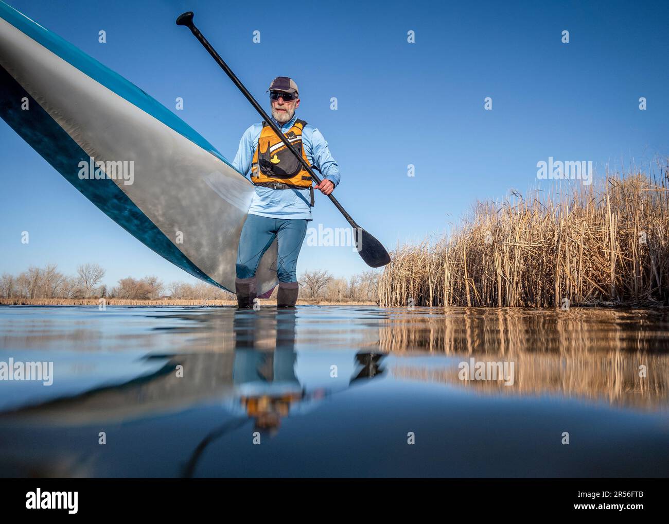 senior male paddler is launching a stand up paddleboard on a calm lake ...