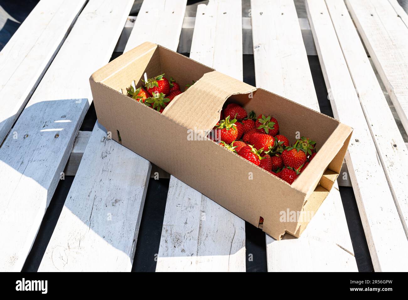 Fresh strawberries in a cardboard basket, lying on a white pallet Stock ...