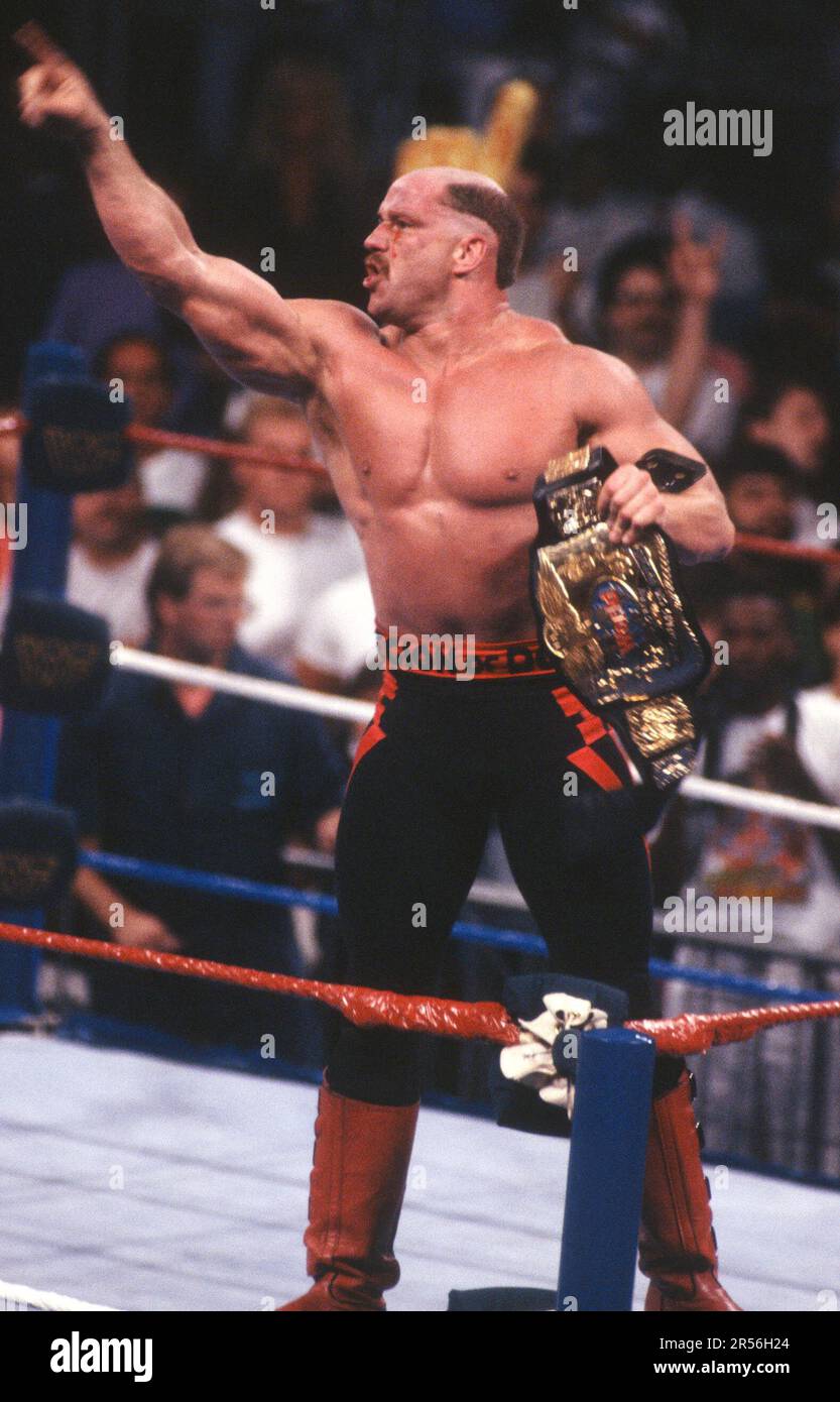 1993 Hawk John Barrett/PHOTOlink Stock Photo - Alamy