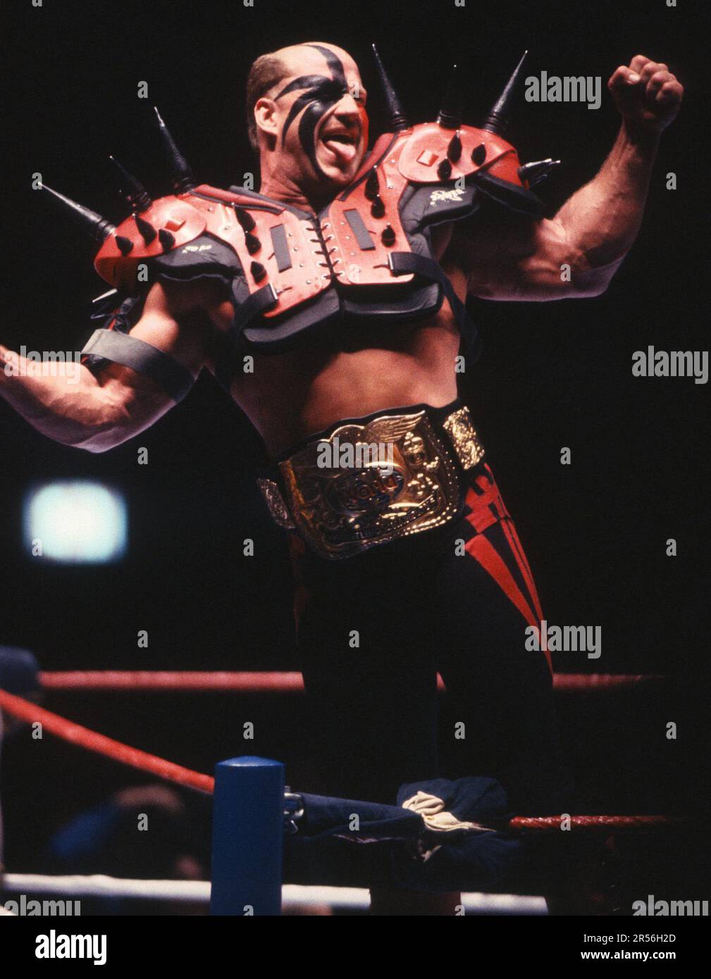 1990 Hawk John Barrett/PHOTOlink Stock Photo - Alamy