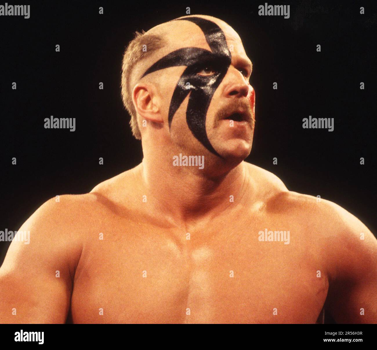 1993 Hawk John Barrett/PHOTOlink Stock Photo - Alamy