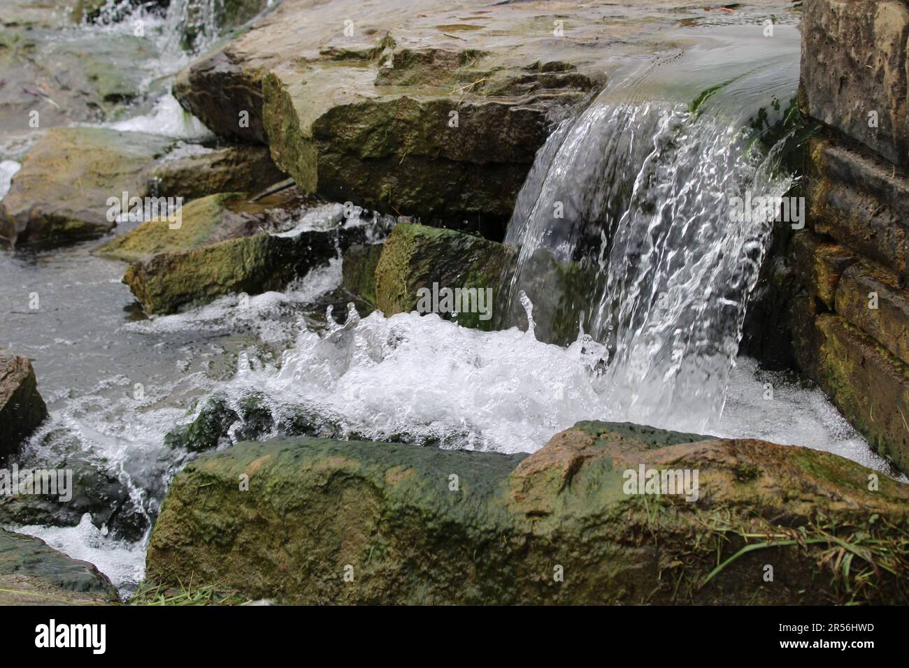 Photo with animals hi-res stock photography and images - Alamy