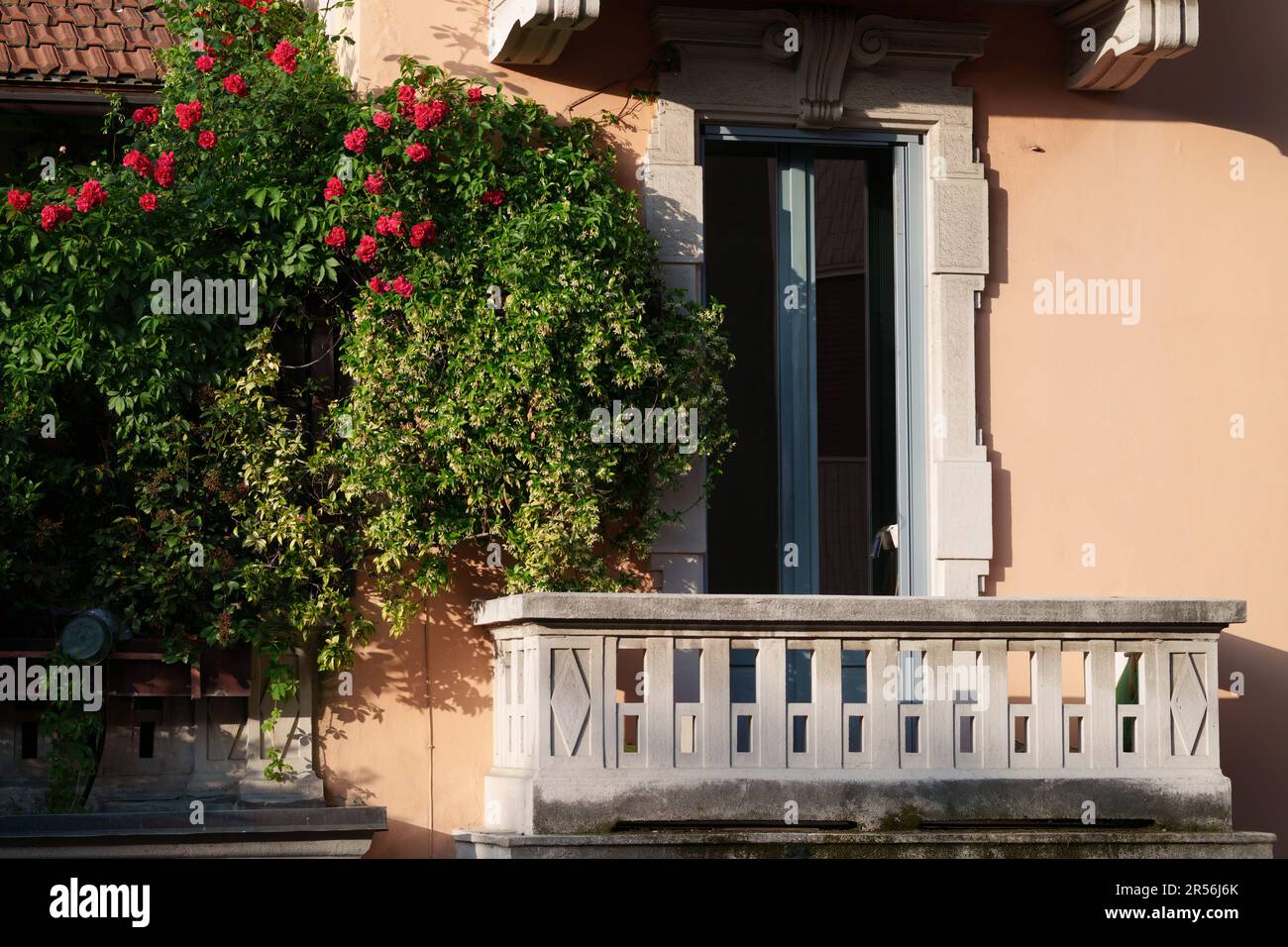 Plants and roses on balconies along via Piero della Francesca at Milan ...