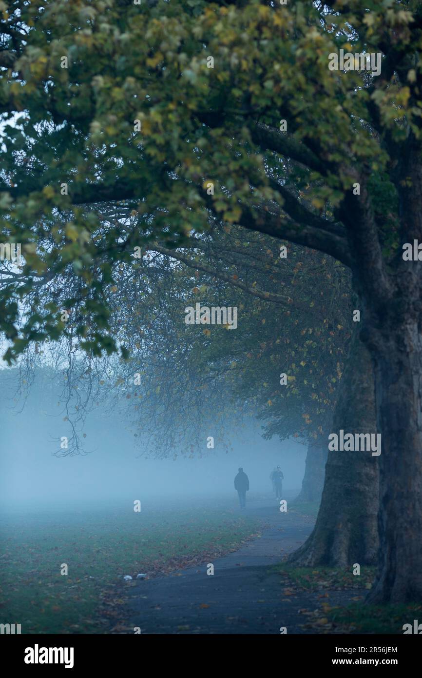 London mist hi-res stock photography and images - Alamy