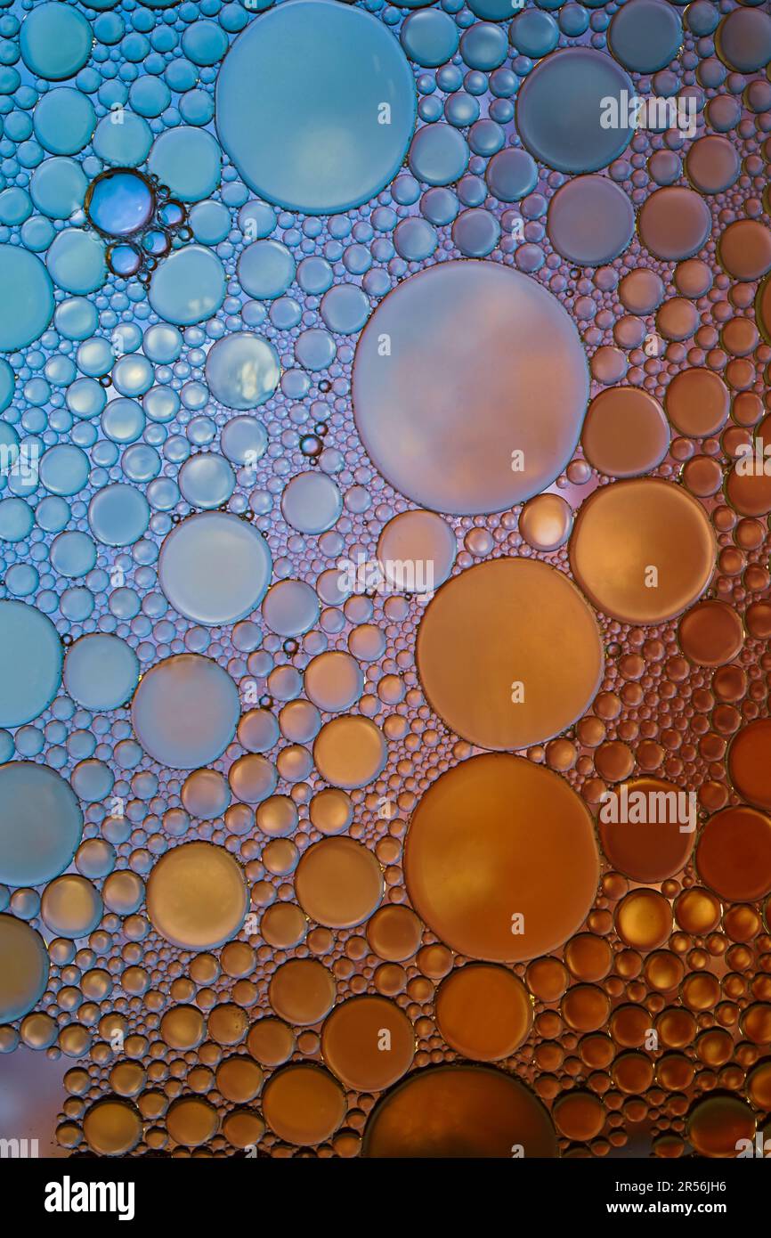 multi colored oil circles on the water, colorful background Stock Photo ...